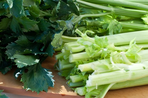 Now This is Celery! | Comestibles